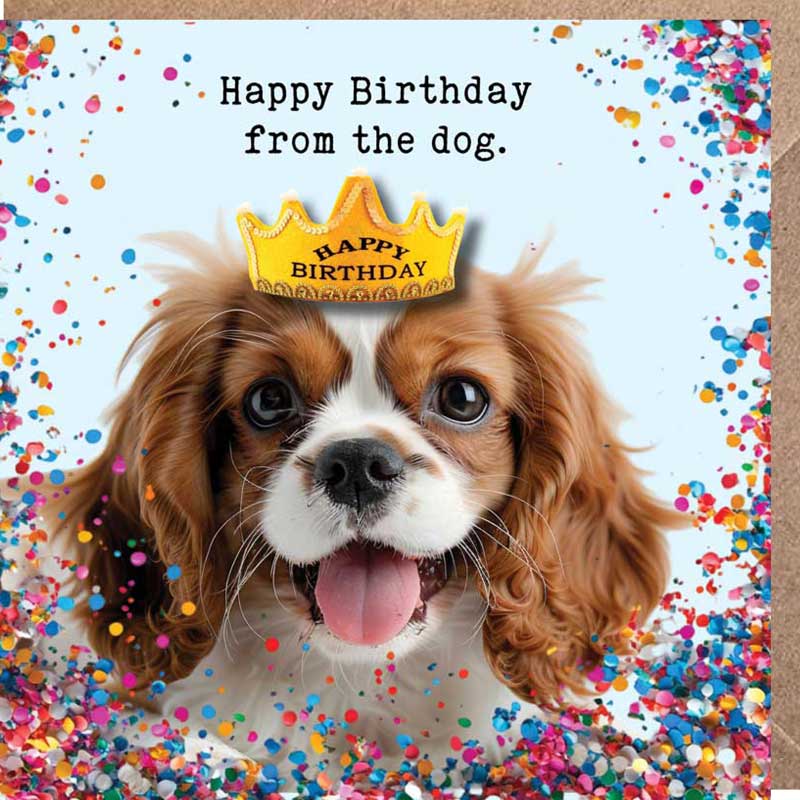 Lucy Loves Life Card - Happy Birthday From The Dog (Cavalier) – The ...