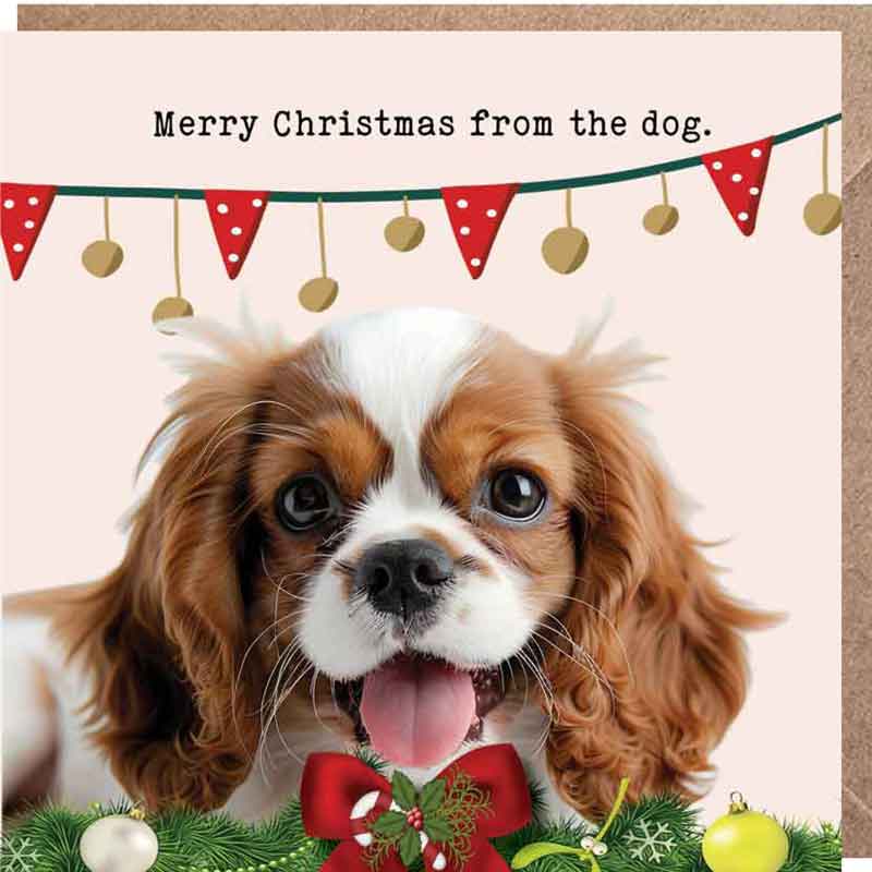 Lucy Loves Life Card - Merry Christmas From The Dog (Cavalier) – The ...