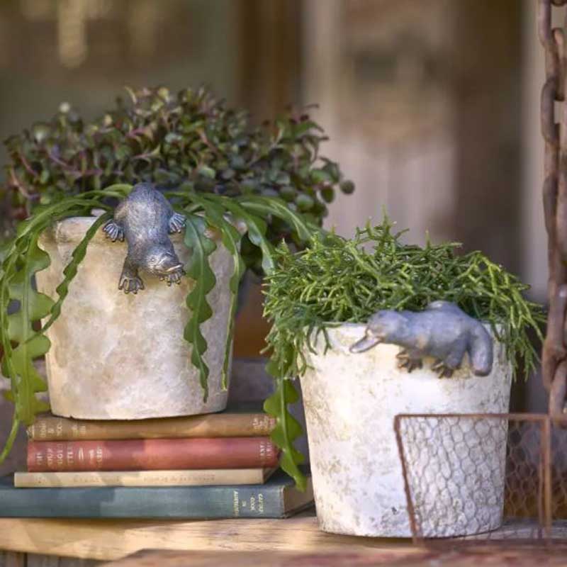 Platypus Pot Sitter - Climbing – The Chic Nest