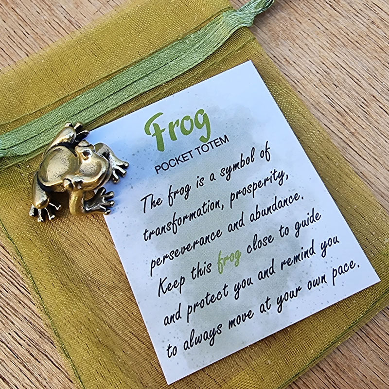 Frog Pocket Totem - Perseverance & Prosperity – The Chic Nest